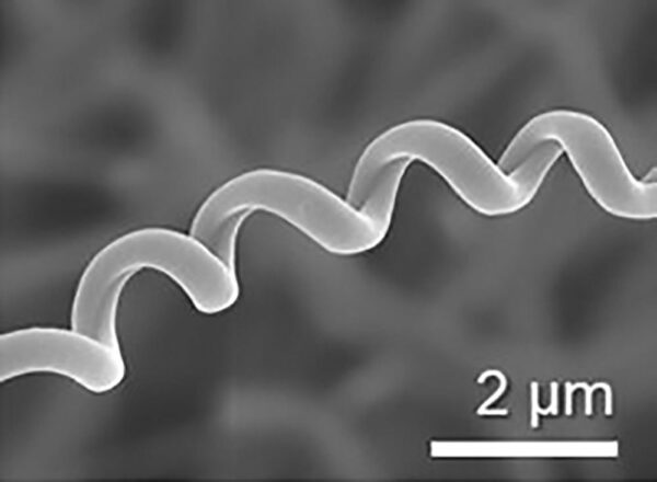 Ceramic nanofibers and springs unlocked with coaxial electrospinning ...