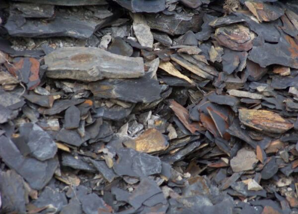 From clay to mudstone and shale (and back again): A geological ...