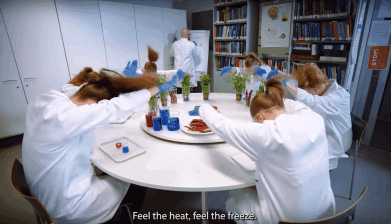 Video: ‘Dance Your Ph.D.’ contest winners give fiery performances ...